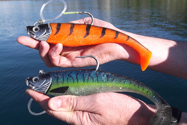 Big Shad Fishing North Norway | Anglers World Info